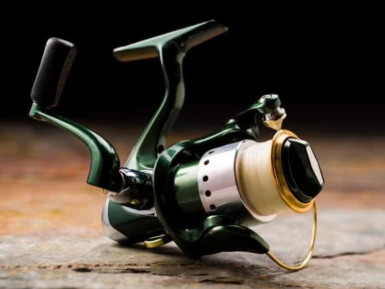 How Does Fishing Reel Drag Work?