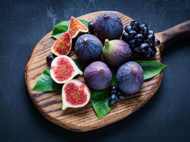 Can Birds Eat Figs? How to Keep Birds Away from Figs?